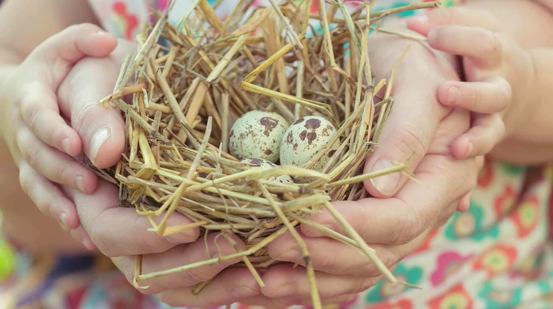 Generation Wild — Creating lasting and meaningful connections with ...